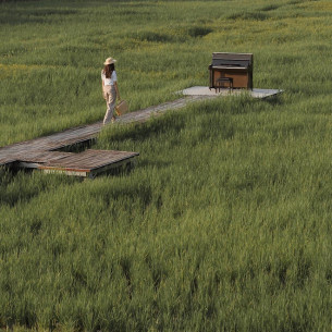 Độc đáo quán cà phê giữa cánh đồng lúa bạn nên ghé trong chuyến du lịch ...