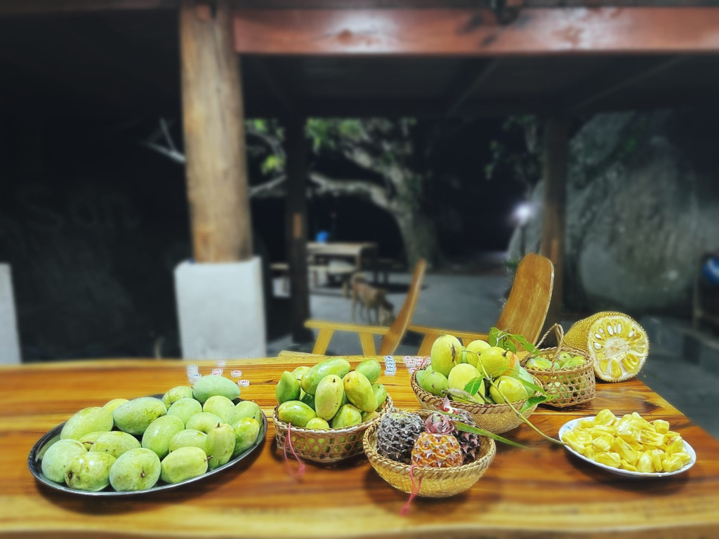 Mango House, homestay giữa lưng chừng núi view đẹp mê hồn trên đảo Hòn ...