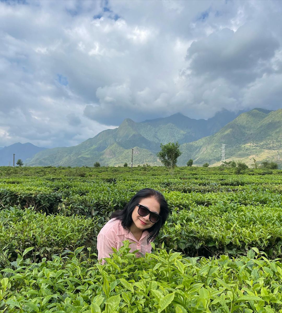 Nét đẹp thơ mộng của đồi chè Tân Uyên ở Lai Châu - iVIVU.com