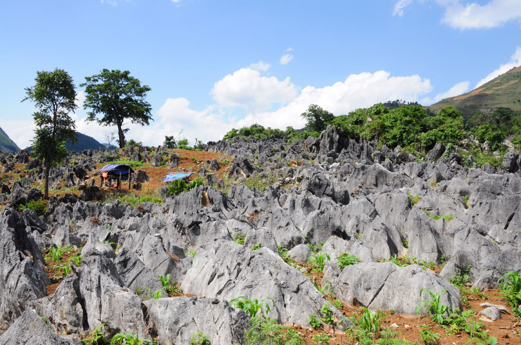 Explore the Unique Beauty of the Tua Chua Stone Plateau in Dien Bien ...