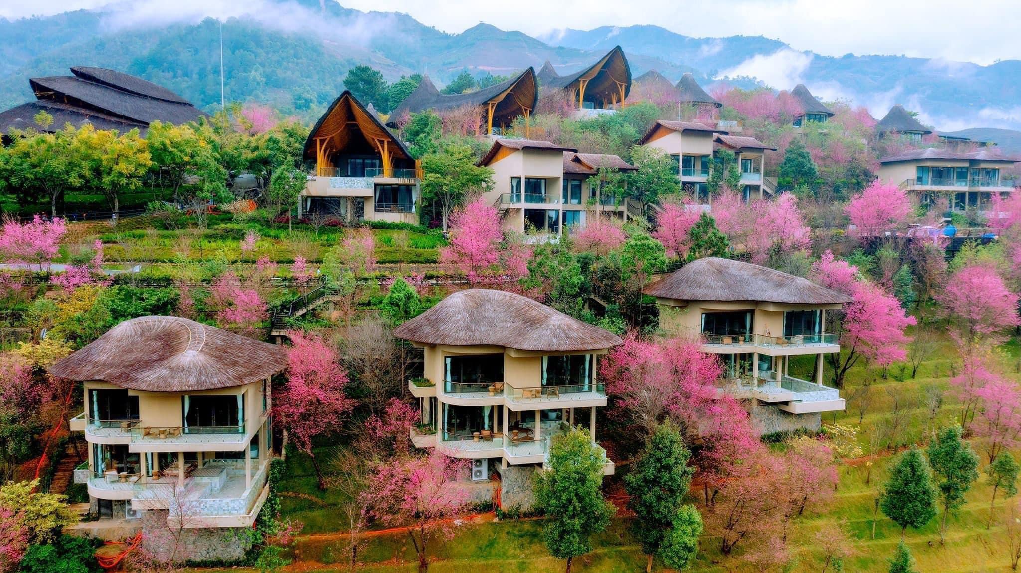 Garrya Mù Cang Chải Yên Bái – nghỉ dưỡng bên ruộng bậc thang