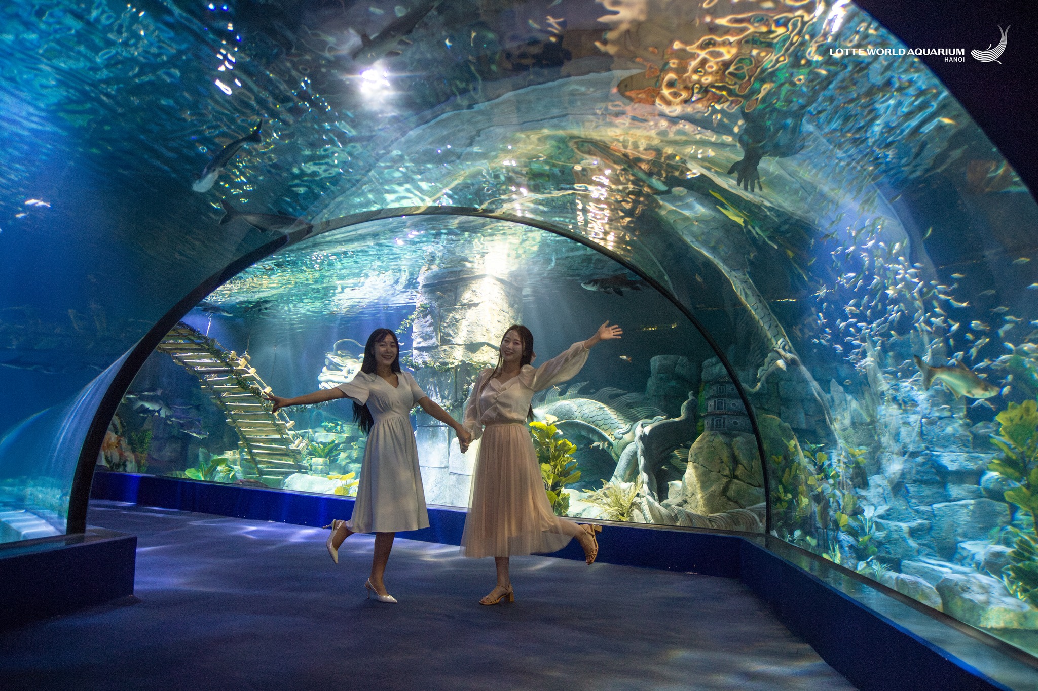 Thủy cung Lotte World Hà Nội – thế giới đại dương đầy màu sắc