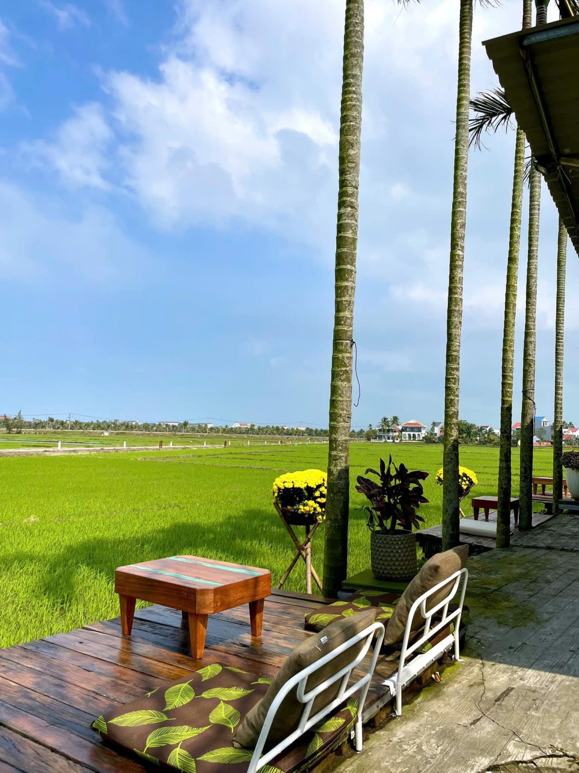 Gợi ý 5 quán café view ruộng lúa ở Hội An siêu mê