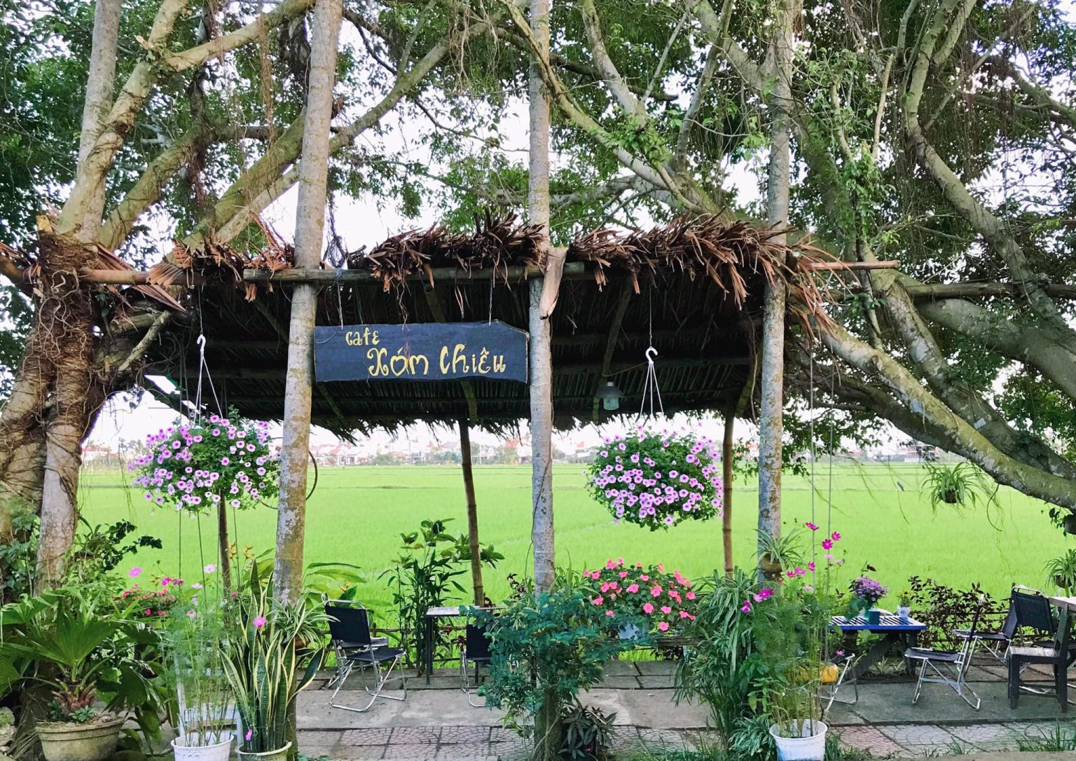 Gợi ý 5 quán café view ruộng lúa ở Hội An siêu mê