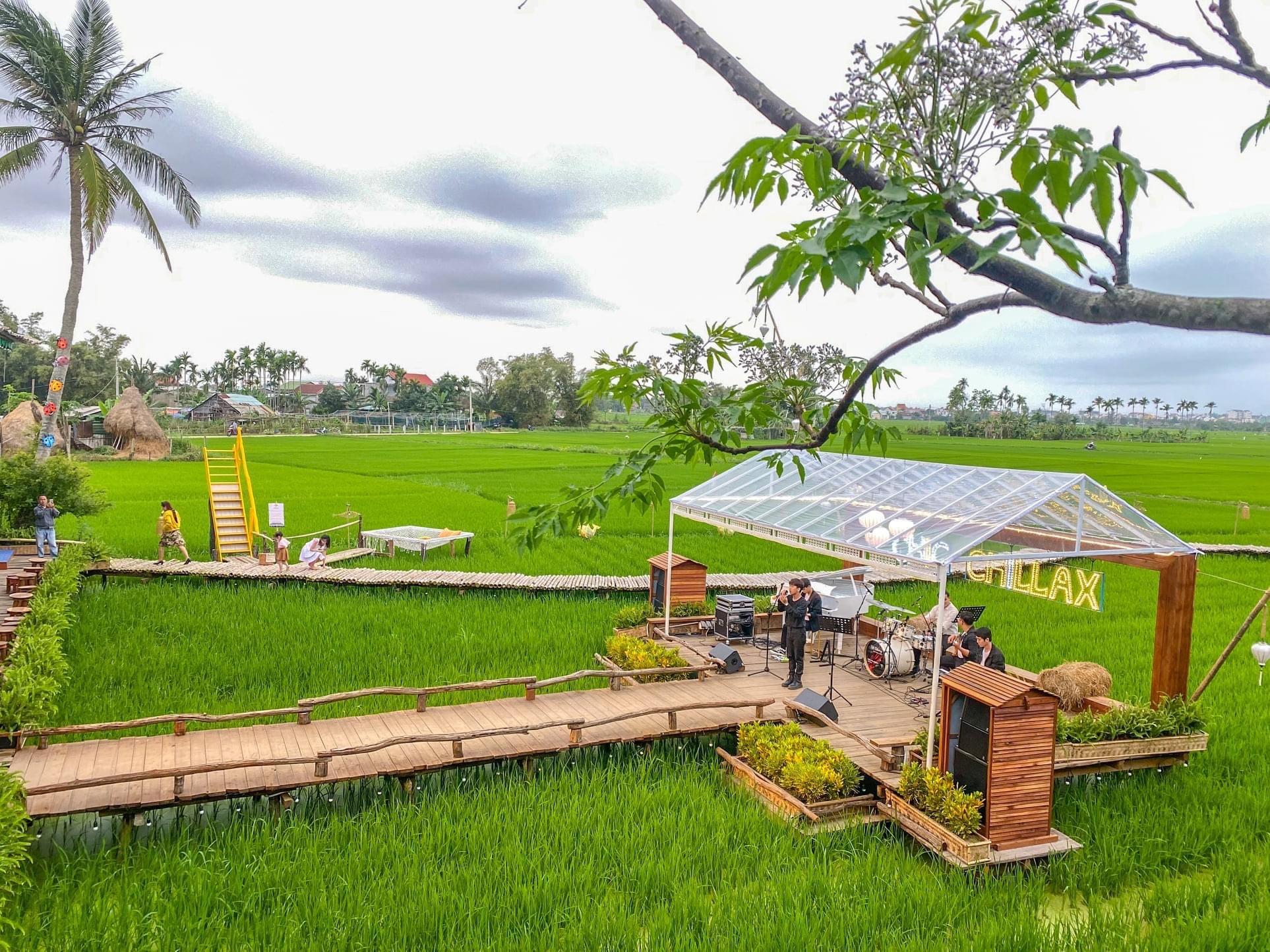 Gợi ý 5 quán café view ruộng lúa ở Hội An siêu mê