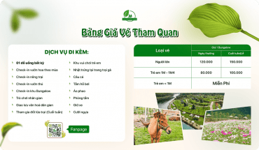 Tìm về "chốn healing" thơ mộng tại Leaf Village & Farm Đà Nẵng