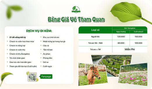 Tìm về "chốn healing" thơ mộng tại Leaf Village & Farm Đà Nẵng