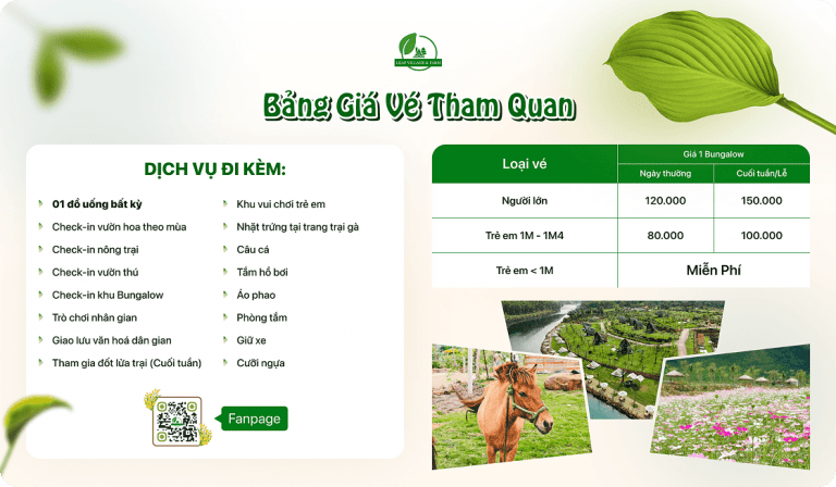 Tìm về "chốn healing" thơ mộng tại Leaf Village & Farm Đà Nẵng