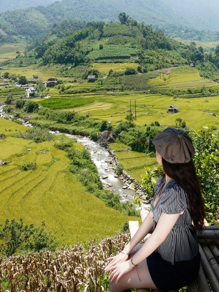 Gợi ý lịch trình 2N1Đ ngắm lúa chín ở Sa Pa đẹp mê mẩn