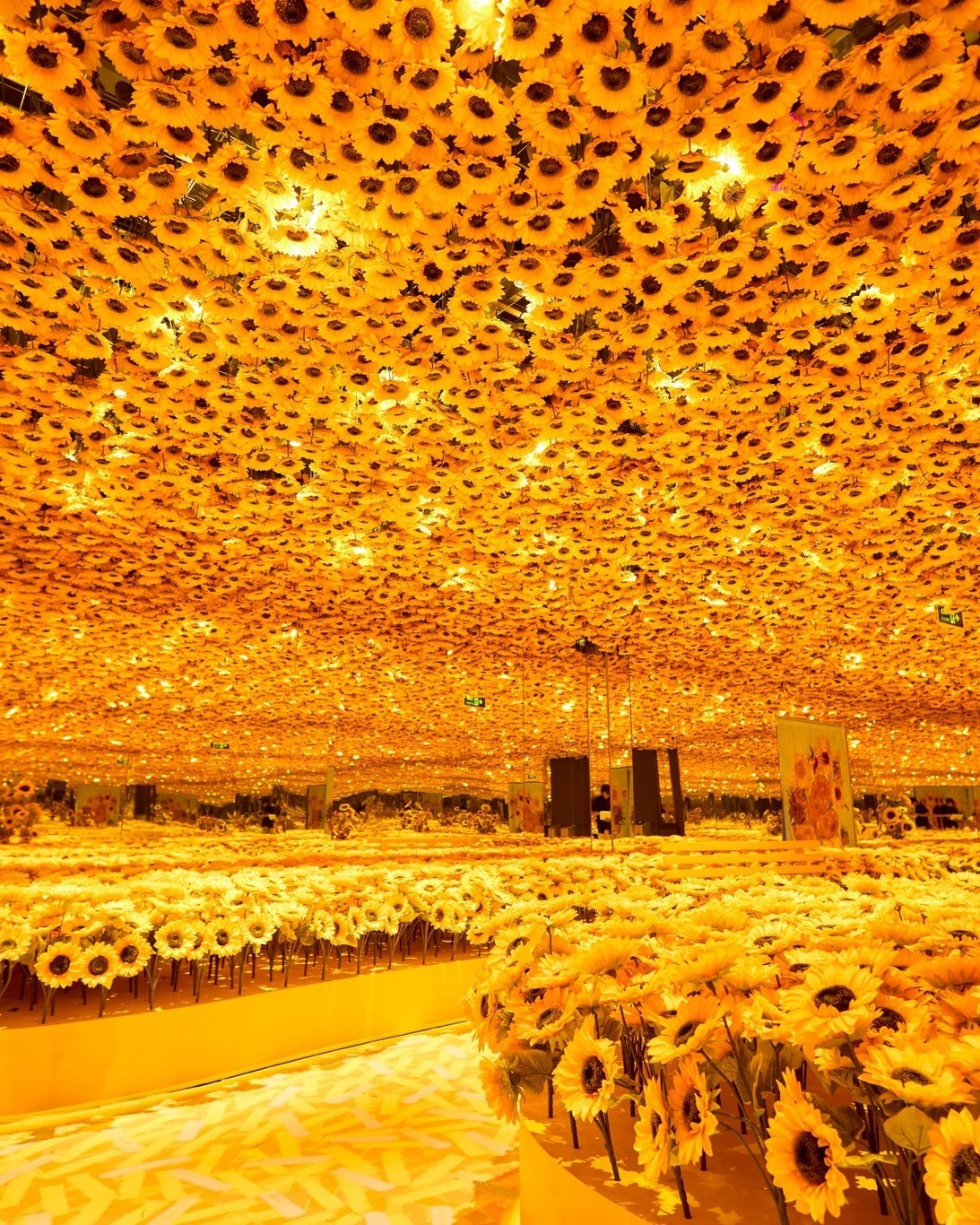 Metashow: Thế giới nghệ thuật diệu kỳ của Van Gogh tại TP.HCM